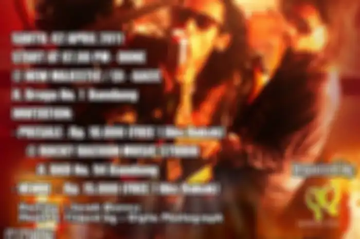 PRESS RELEASED LAUNCHING ALBUM "ROCKY RACOON - BAND FOR BROTHERS"