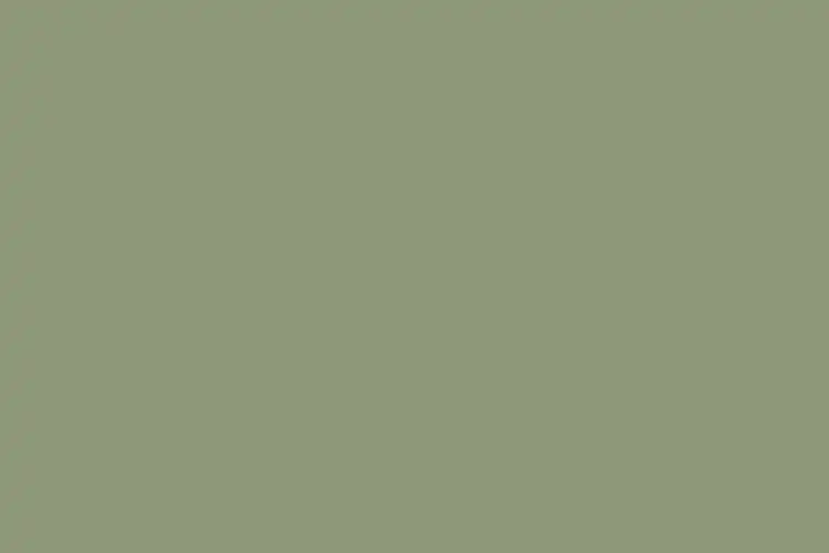 9 Macam Warna Hijau Beserta Kodenya, Warna Hijau Sage Green Termasuk ...