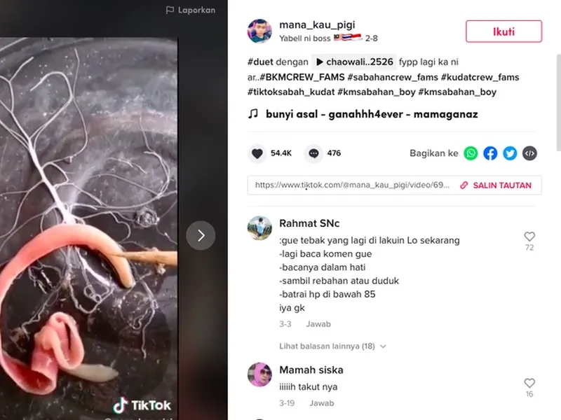 Viral Video Hewan Mirip Cacing Keluarin Cairan Berbentuk Akar, Berbahaya atau Tidak? Begini Kata ...