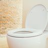 Cara Atasi Toilet Mampat dengan Memakai Bahan Dapur Saja