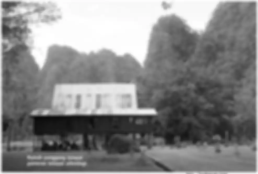 Menemukan Lukisan Babi Rusa dan Cap Tangan Manusia Purba di Leang-Leang ...