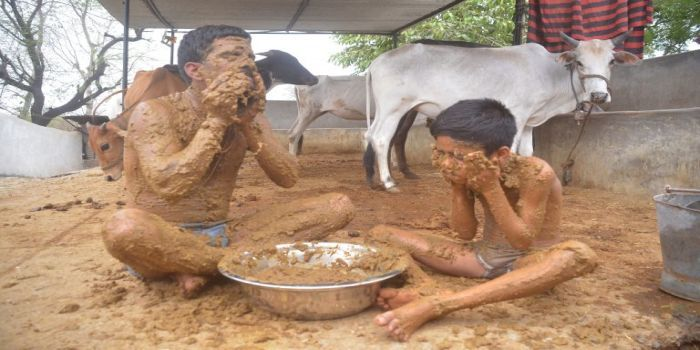 Unik! Satu Keluarga ini Justru Gunakan Kotoran Sapi Untuk Mandi ...