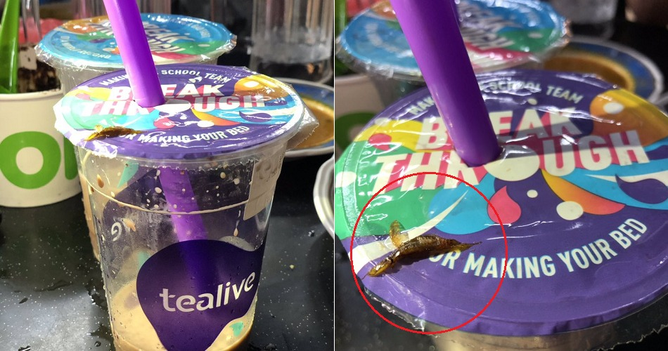 Cowok Ini Gigit Kecoak Saat Minum Bubble Tea Merek Terkenal, Duh ...