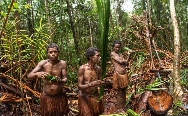 Suku Kanibal Terakhir Di Dunia Hidup Damai Di Papua, Ternyata Nggak ...