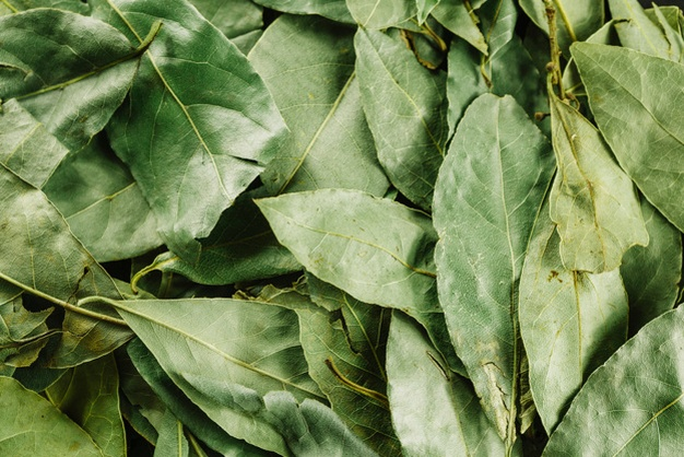 Tak Terduga, Bakar Daun Salam dalam Ruangan Bisa Beri Khasiat Ajaib ...