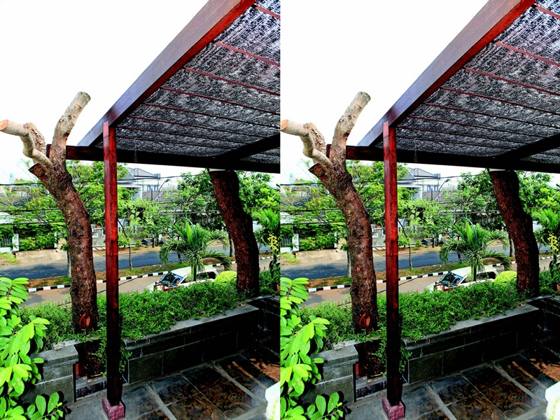 Hiasan Fungsional dan Estetik untuk Taman dengan Manfaatkan Pohon Mati ...