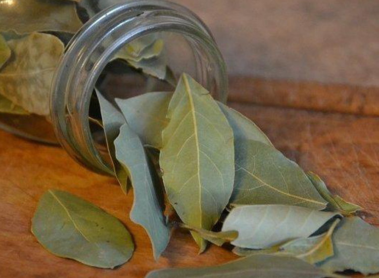 Nggak Perlu Pakai Diffuser yang Berbahaya, Cukup Bakar Beberapa Lembar ...