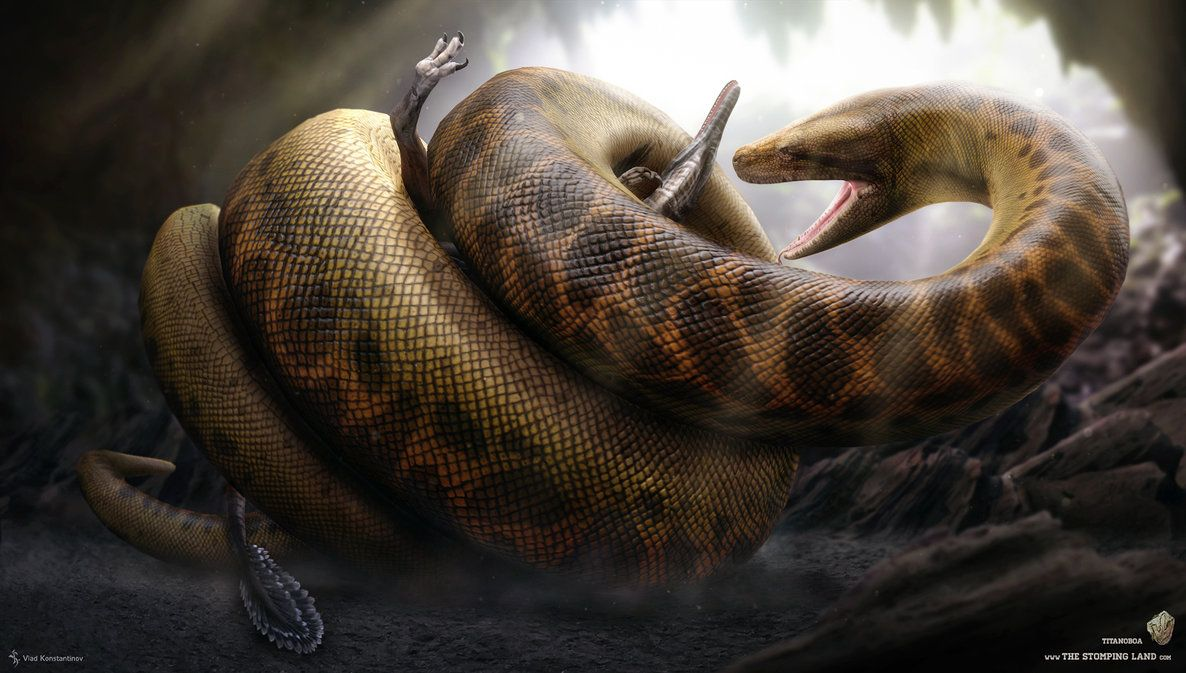 Tiga Fakta Titanoboa Ular Purba Terbesar di Dunia yang Disebut Monster ...