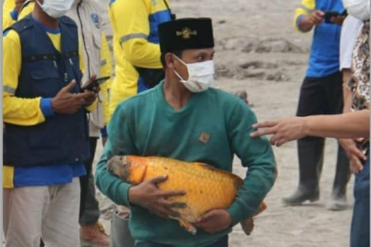 BERITA POPULER: Video Panas Aktor Inisial R Terbongkar, Ikan Mas ...