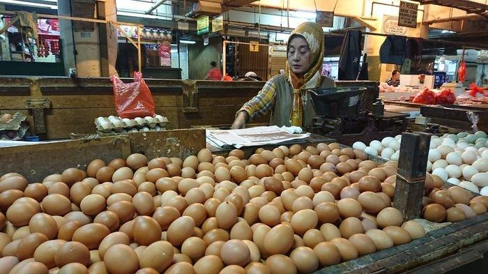 Daftar Harga Sembako Telur Ayam se-Indonesia Selasa, 4 September 2022 ...