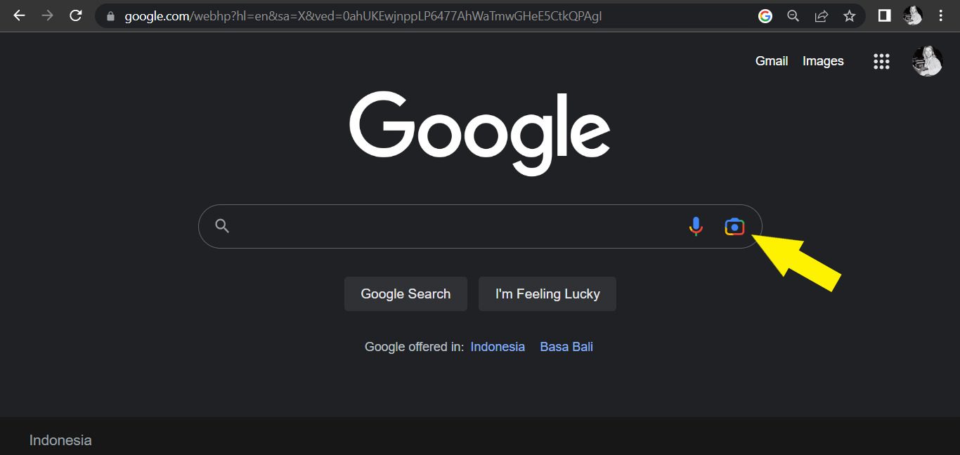 Saingi Microsoft Bing, Google Lens Kini Hadir Di Halaman Google Search
