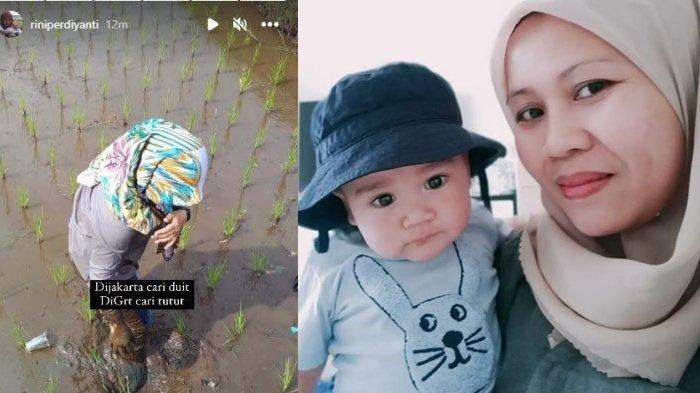 Sus Rini Pulang ke Garut, Potretnya Cari Keong Sawah Jadi Sorotan, Begini Nasib Pengasuh Cipung ...