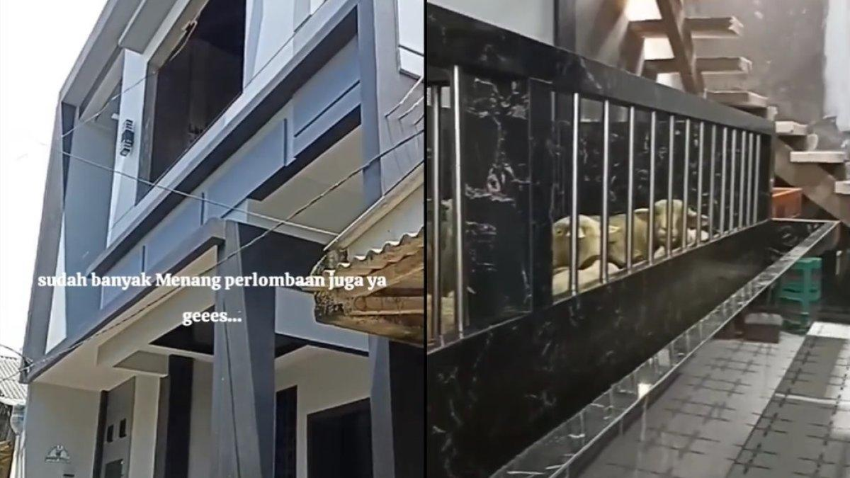 Pantas Dijuluki Kandang Kambing Sultan, Rumah Mewah 2 Lantai Ini Dihias ...