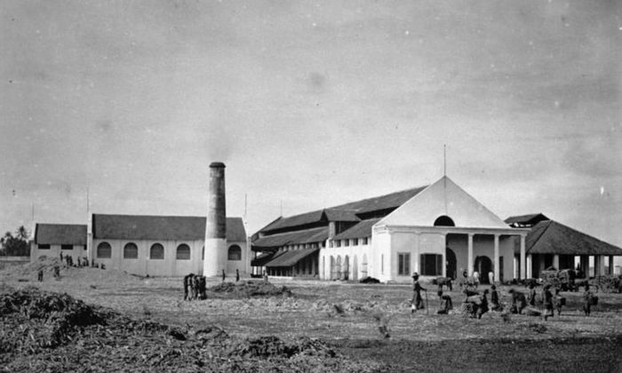Indonesia Pernah Menjadi Raja Industri Gula Dunia Pada Era Kolonial ...