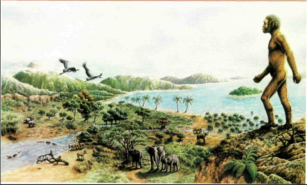 Ternyata Ini Penyakit yang Biasa Diderita Pithecanthropus erectus Si ...