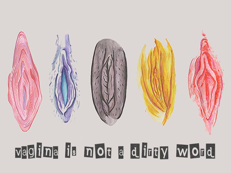 Cewek Wajib Tahu, Inilah 3 Hal Penting Tentang Labia Bibir Vagina