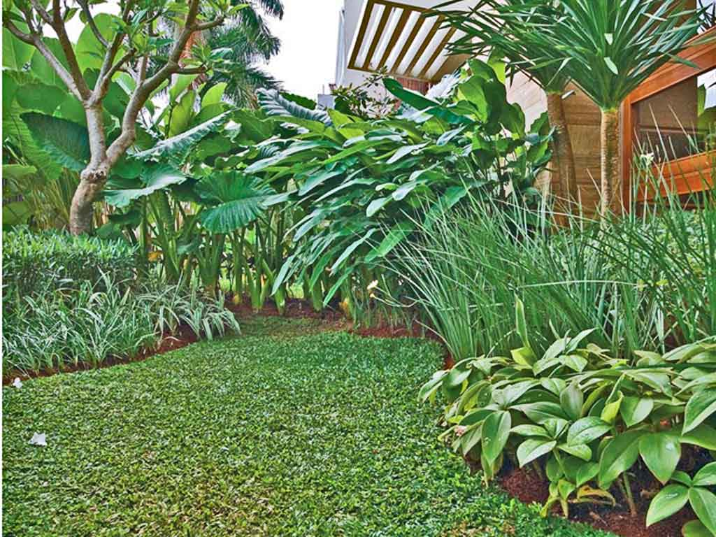 Taman yang Rimbun dan Ditata Indah