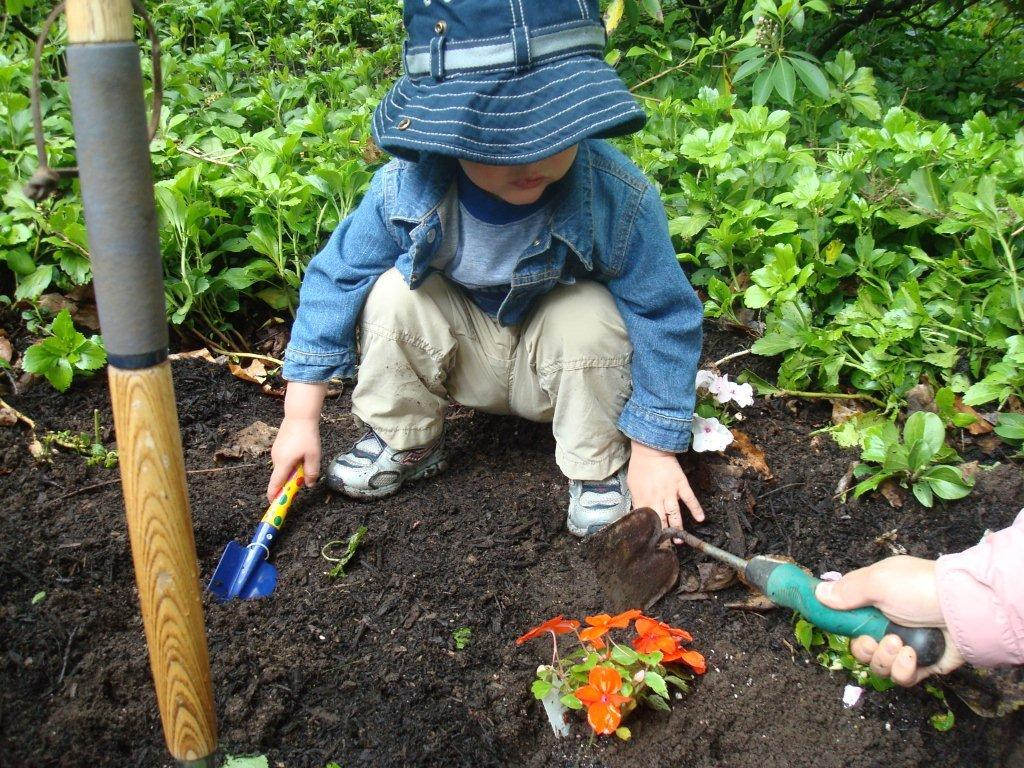 Cara Mudah Membuat Pupuk Kompos - Page 1