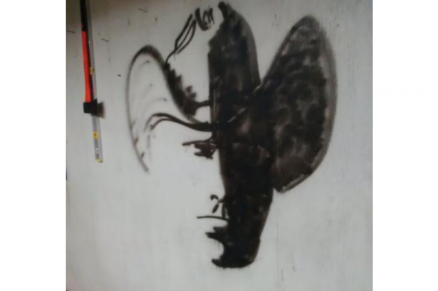 Gambar Ini Sukses Buat Orang di Seluruh Dunia Penasaran. Apakah Anda ...