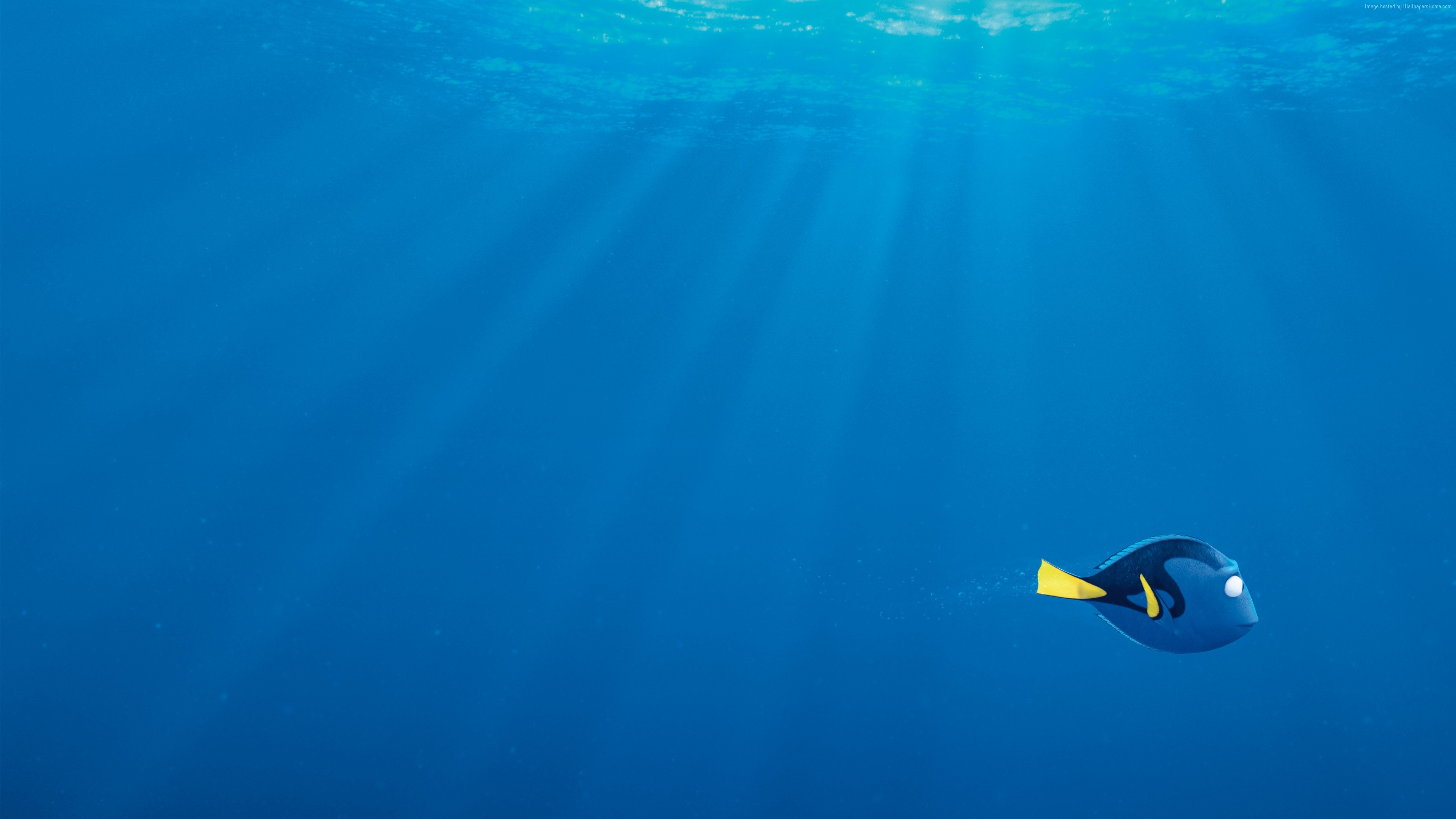 Kenali Hewan Laut Ini di Film Finding Dory: 5 Fakta Menarik dari Ikan ...