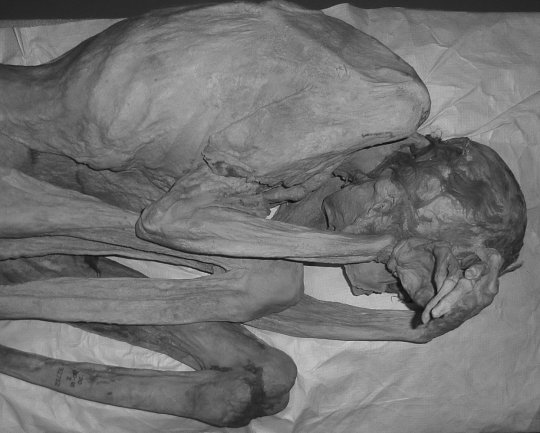 Tato Tertua di Dunia Ditemukan di Mesir, Diyakini Punya Tujuan Magis ...