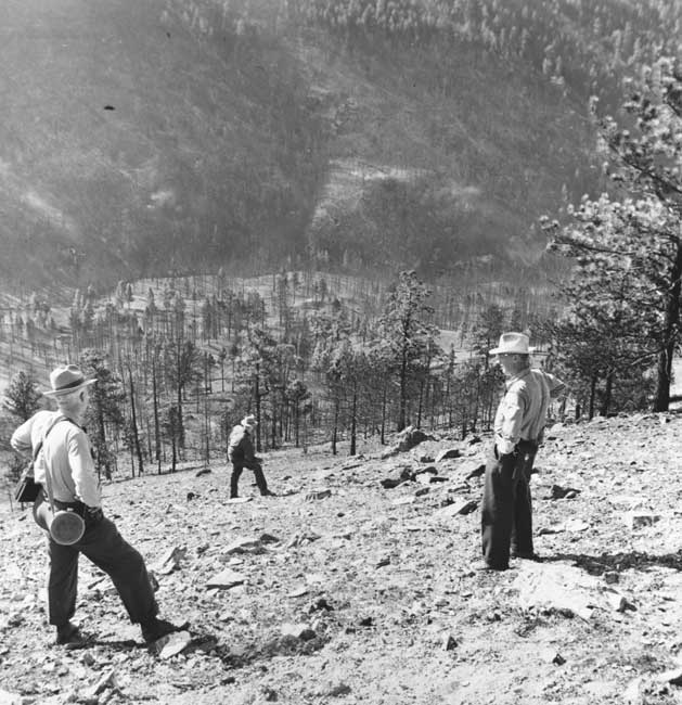 Sejarah Kebakaran Hutan Nasional Helena yang Mencekam Tahun 1949 ...