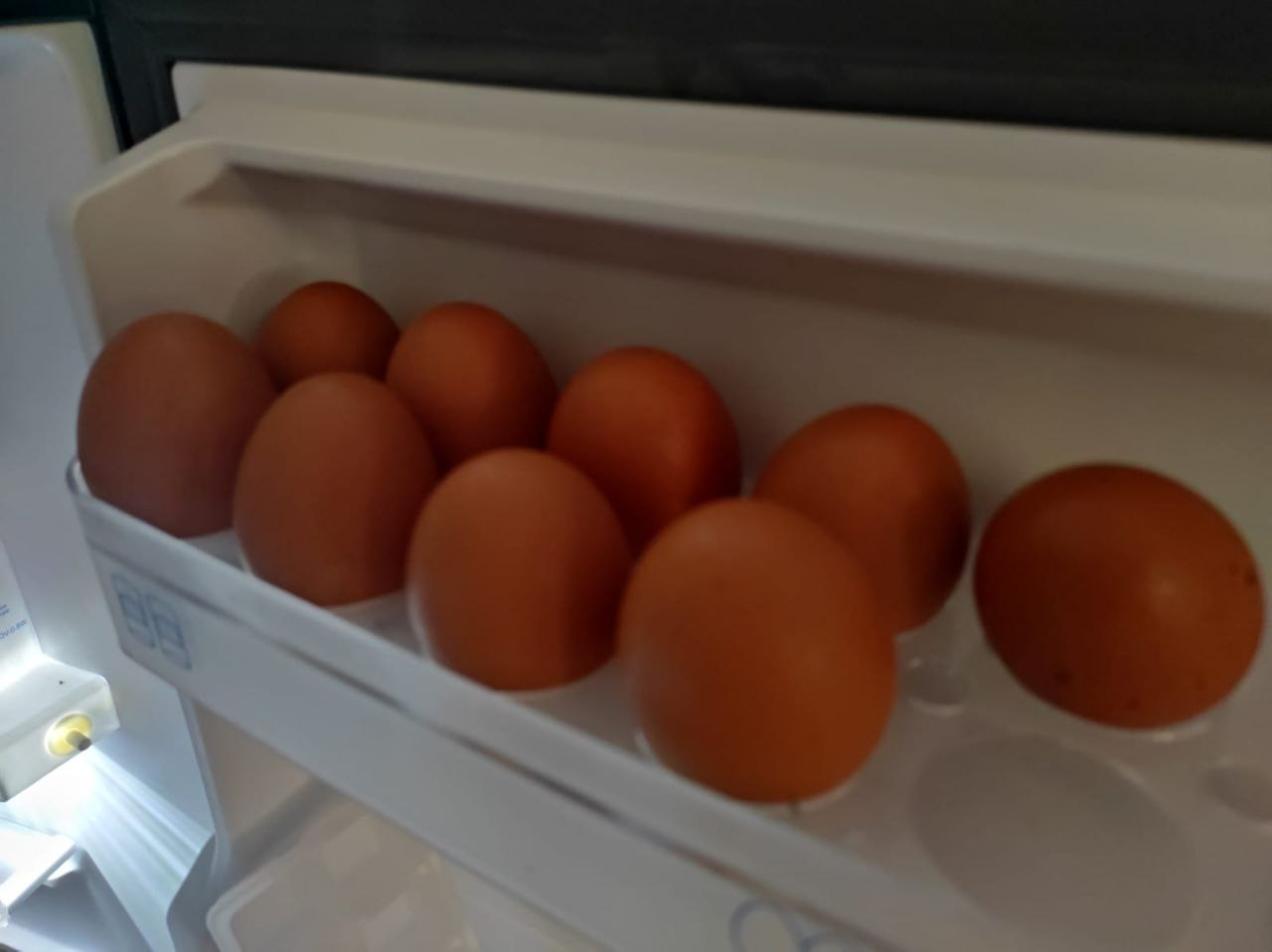 Haruskah Menyimpan Telur di Kulkas Atau Suhu Ruang? Ini Hal yang Harus ...