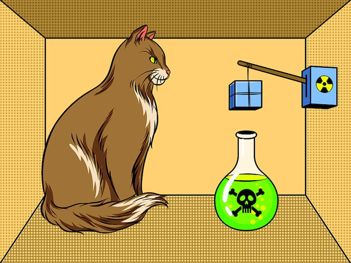 Paradoks Kucing Schrodinger, Bagaimana Menangkap dan Menyelamatkannya ...