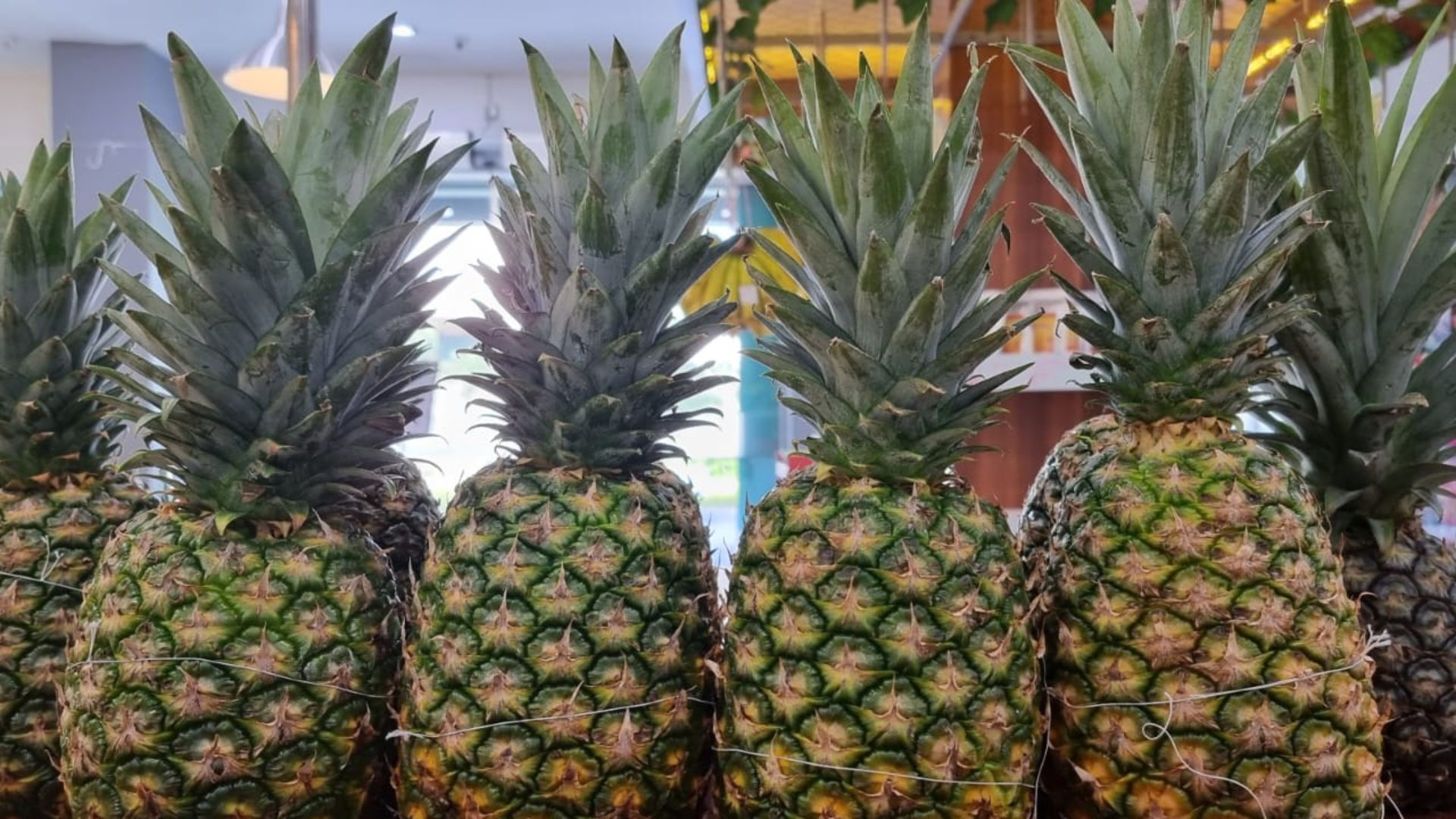 Selama Ini Ternyata Keliru Begini Cara Tepat Menyimpan Nanas Agar Tetap Segar Dan Tak Cepat