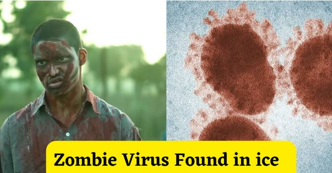 Pemasan Global Membangkitkan Virus Zombie Berusia Lebih dari 48.500 ...