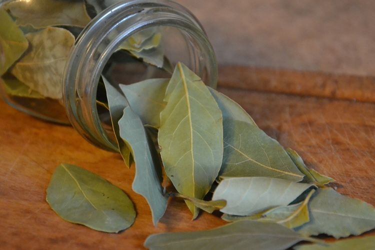 Cara Menyimpan Daun Salam agar Tidak Mengering, Pakai Tips Ini agar ...