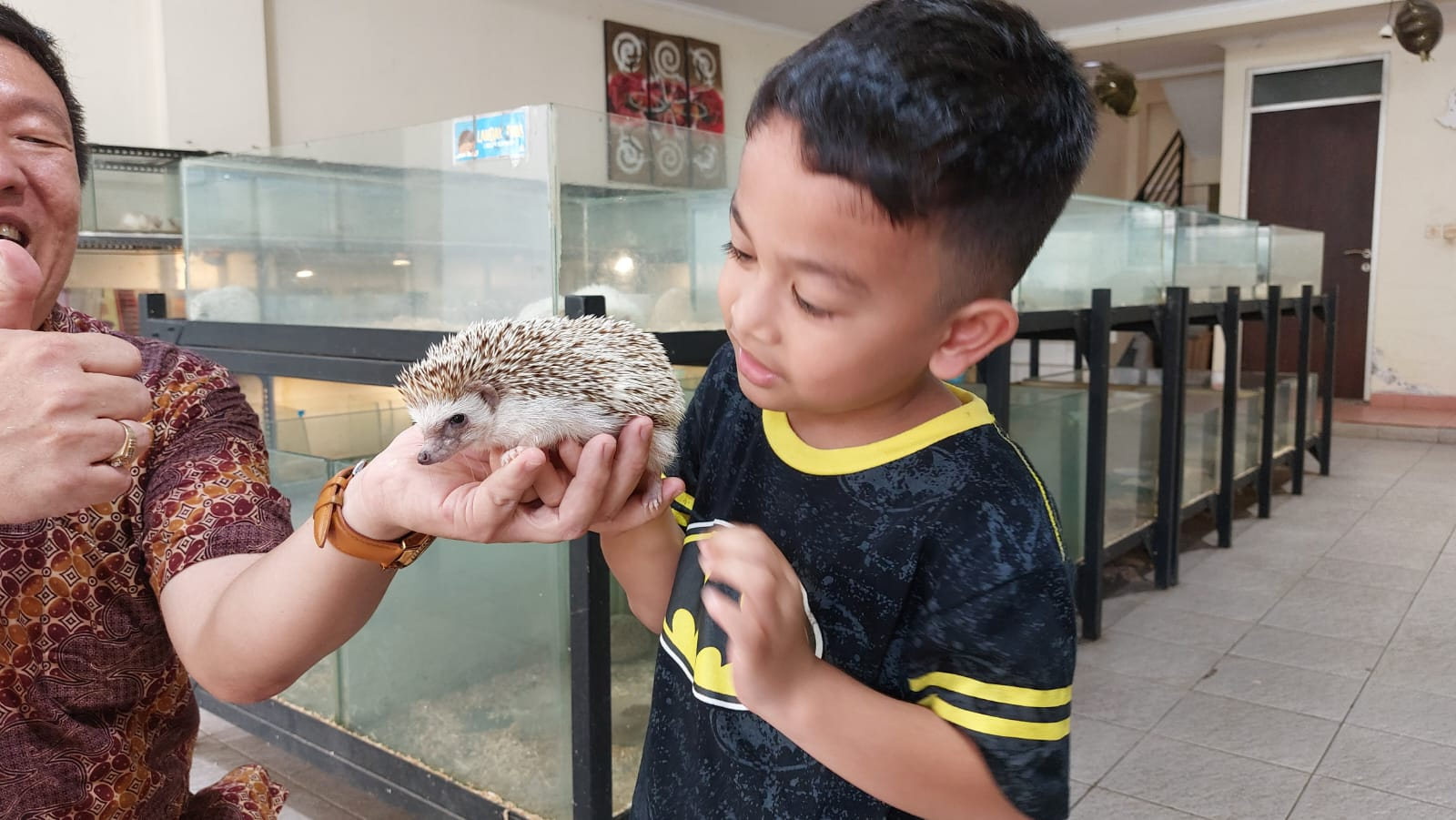 BFC Mini Farm Bintaro Tempat Wisata Edukasi Mengenal Beragam Hewan ...