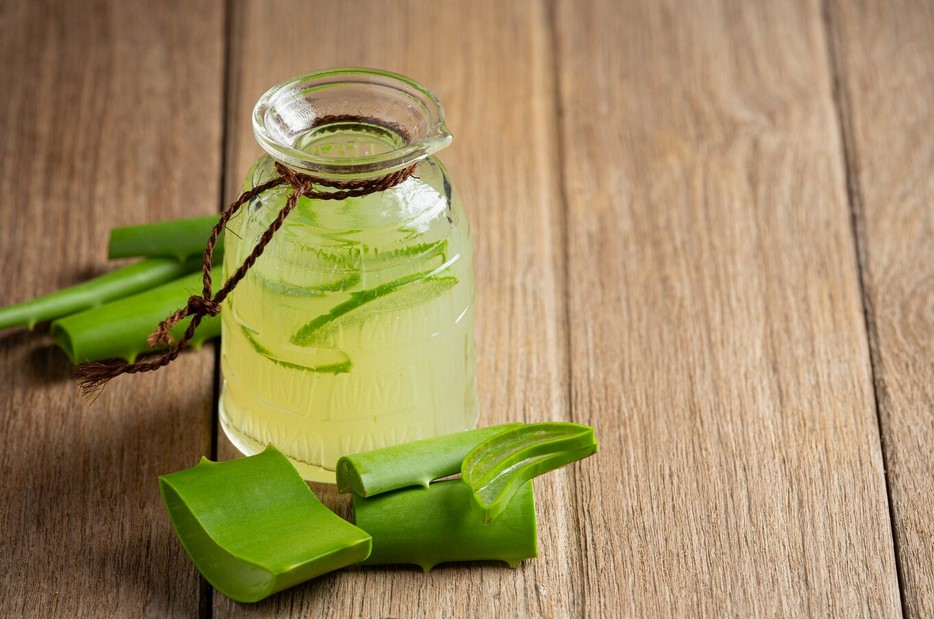Cara Menggunakan Lidah Buaya untuk Luka Bakar, Mudah Dipraktikkan di ...