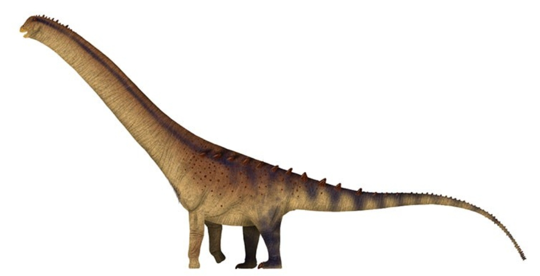 Mengapa Dinosaurus Berbadan Besar dan Apa Keuntungan Baginya ...
