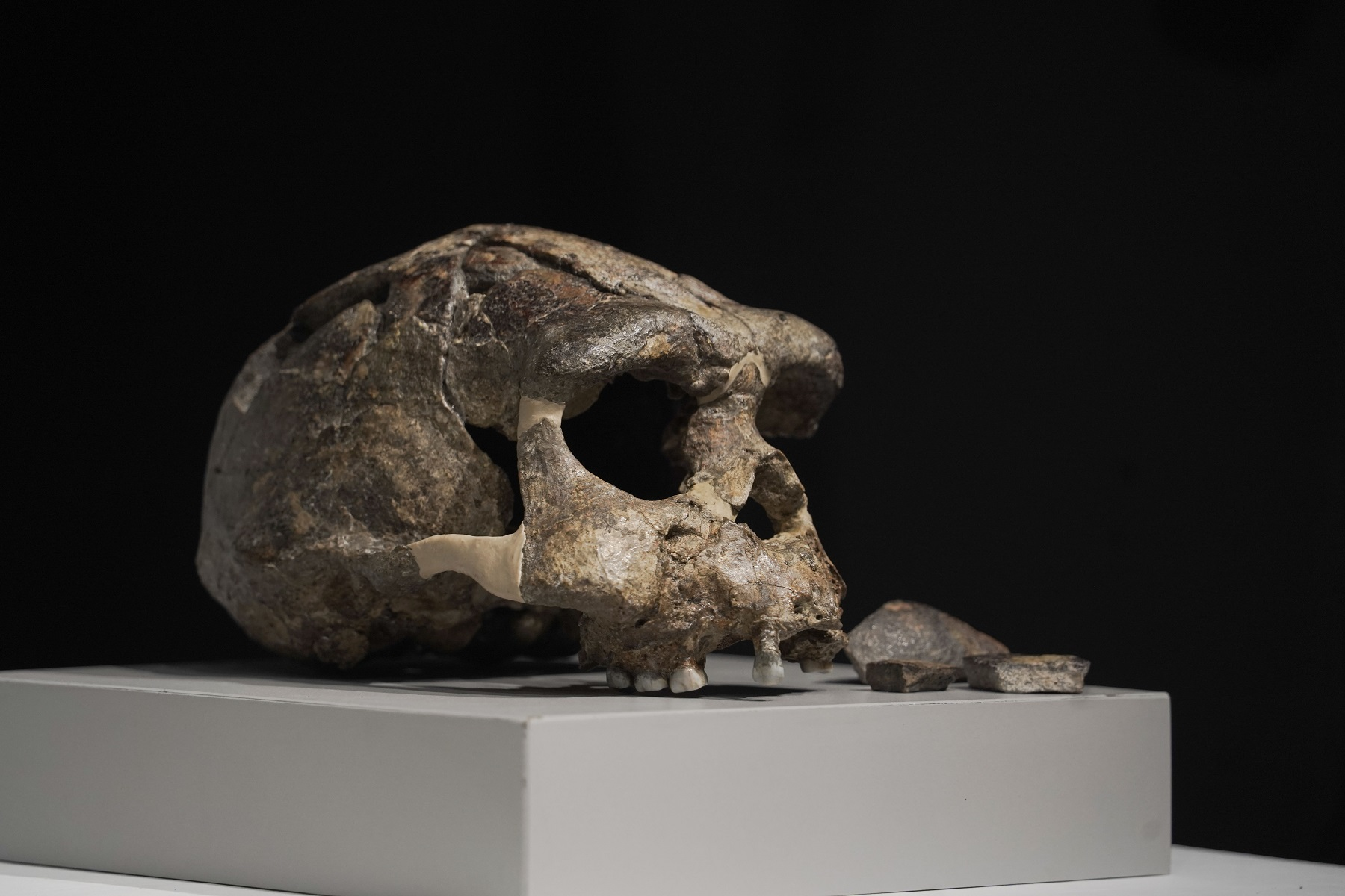 Masa Depan Homo sapiens Ada di Tangan Kita | National Geographic