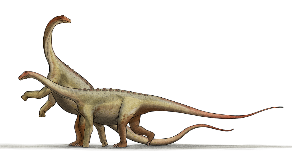 8 Dinosaurus Terbesar di Dunia, Siapa yang Paling Layak Dijuluki ...