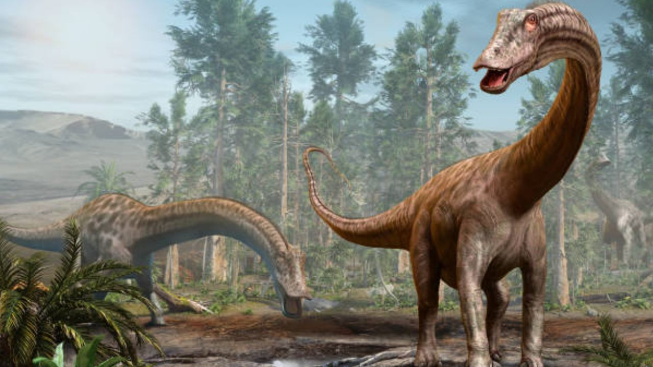 Rahasia Ilmiah Zaman Jurassic di Balik Air Kencing Dinosaurus ...