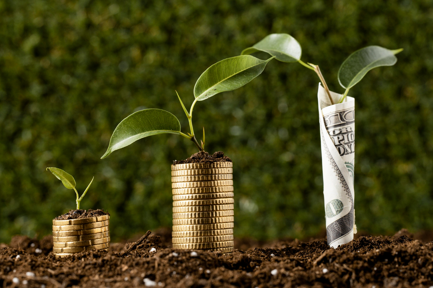 Green Capitalism Jadi Penyebab Sekaligus Solusi Perubahan Iklim ...