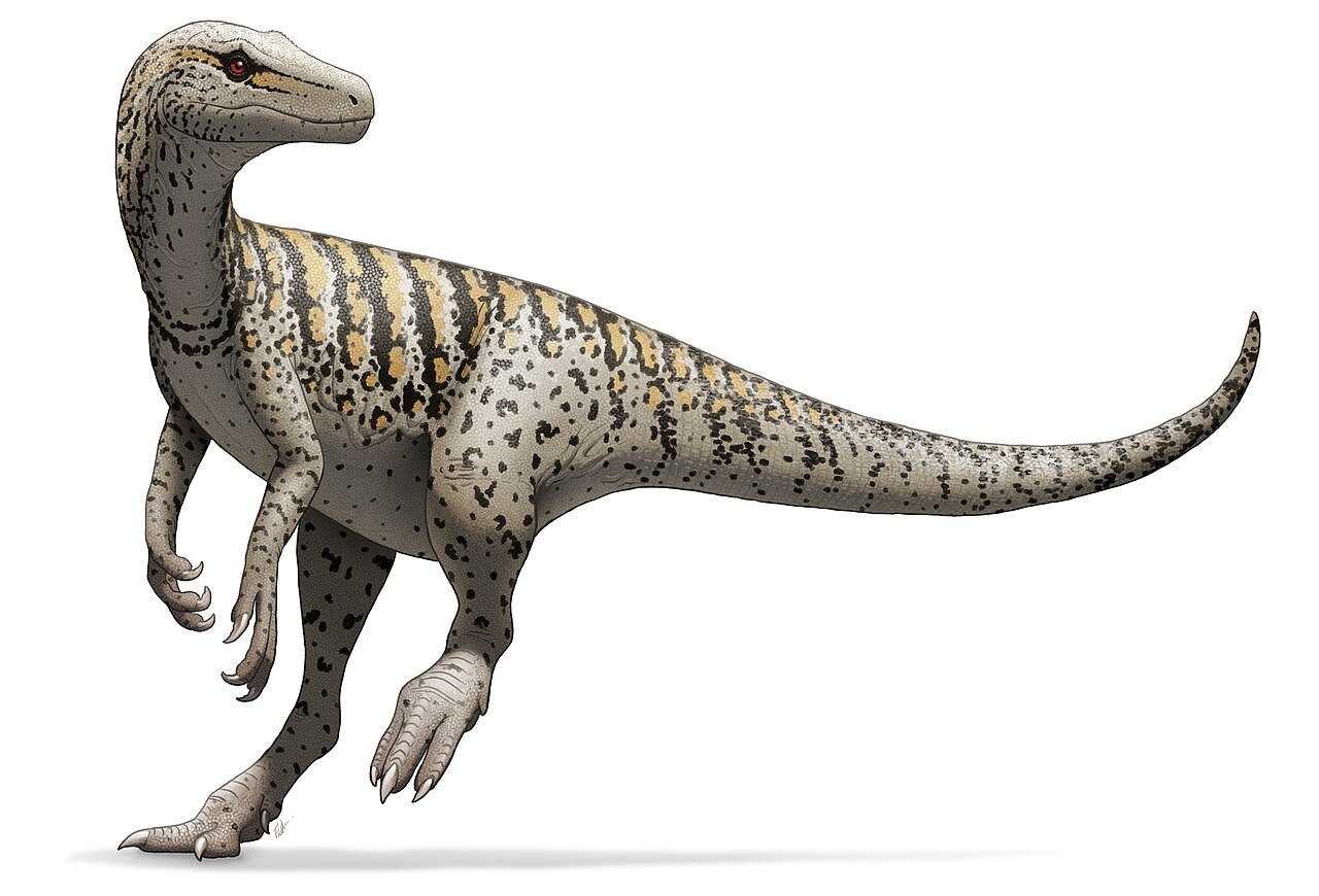 Bagaimana Dinosaurus Karnivor Berevolusi dari Makhluk Kecil Jadi ...