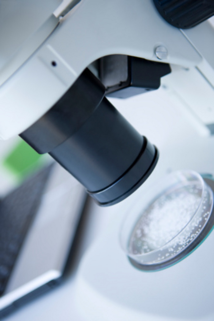 Laboratorium Bioimaging Pertama di Indonesia Diluncurkan | National ...