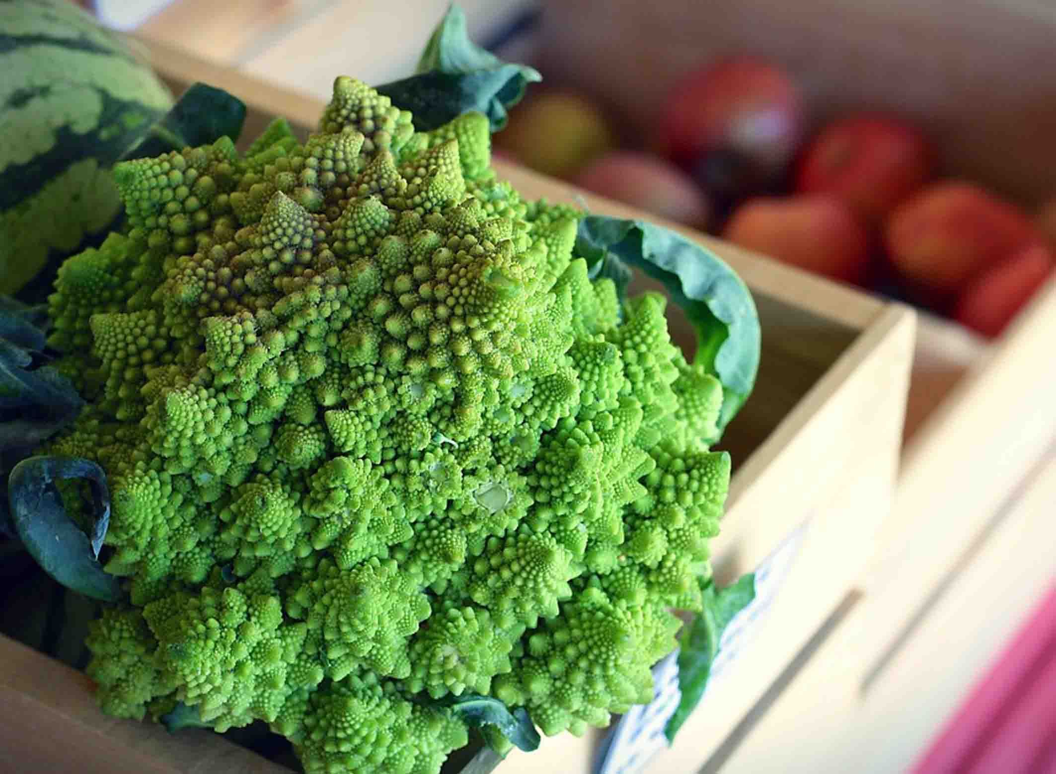 5 Sayur yang Jarang Ditemukan di Indonesia, Ada Kale hingga Rhubarb