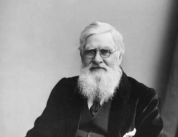 Mencari di mana Persisnya Rumah Alfred Russel Wallace di Ternate