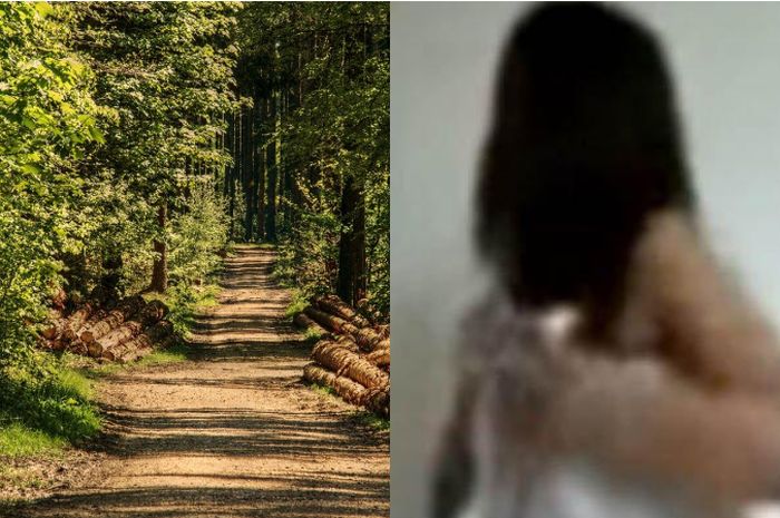 Geger! Bintang Film Dewasa Asal Jepang Ini Ditemukan Tewas Tanpa Sehelai Benang Terikat di Pohon ...