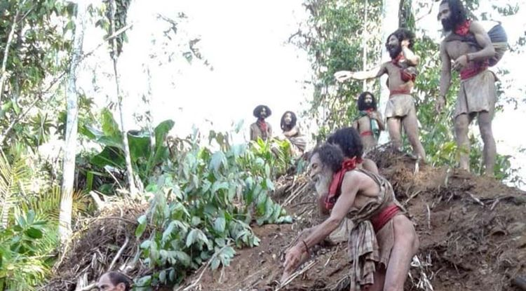 Disebut Serang Warga dengan Panah, Suku Togutil Ternyata Sedang ...