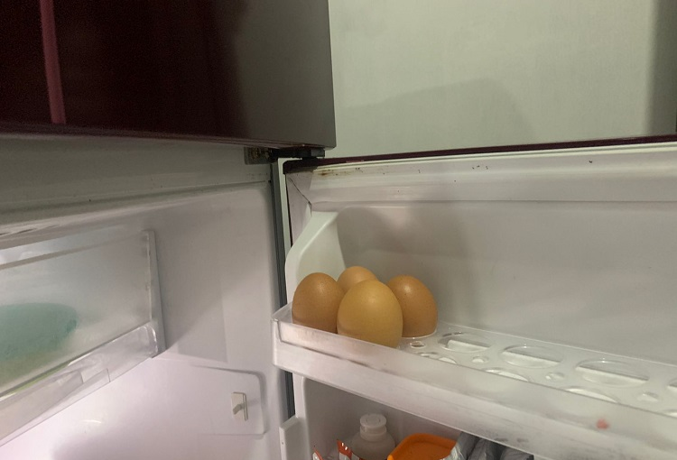 Aneka Tips Hari Ini, Kinerja Kulkas Tak Lagi Maksimal? Berikut Cara ...