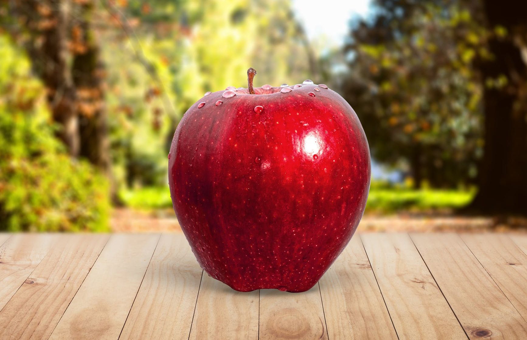 Teori Gravitasi Isaac Newton Muncul Ketika Ia Harus Belajar di Rumah ...