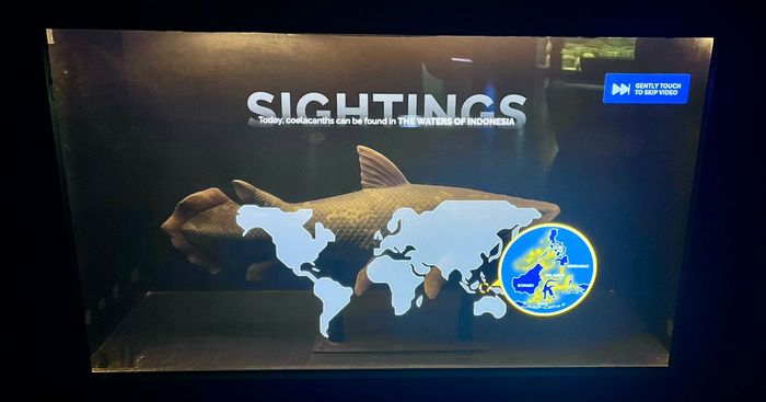 Kisah Fosil Hidup dan Legenda Laut Nusantara di Singapore Oceanarium ...
