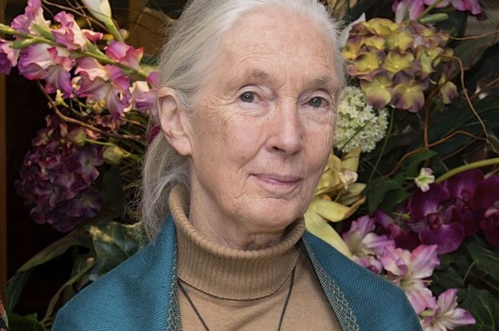 Warisan Jane Goodall untuk Dunia: Bagaimana Ia Mengubah Sains ...