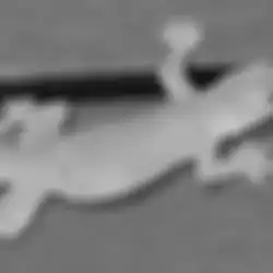 Bikin Adem dan Rindang, Berikut Inspirasi Gazebo dan Kolam Ikan di ...