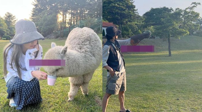 Kunjungi Peternakan Bareng hingga Pose Mesra di Samping Kakatua, Foto Kencan Diduga V BTS dan ...